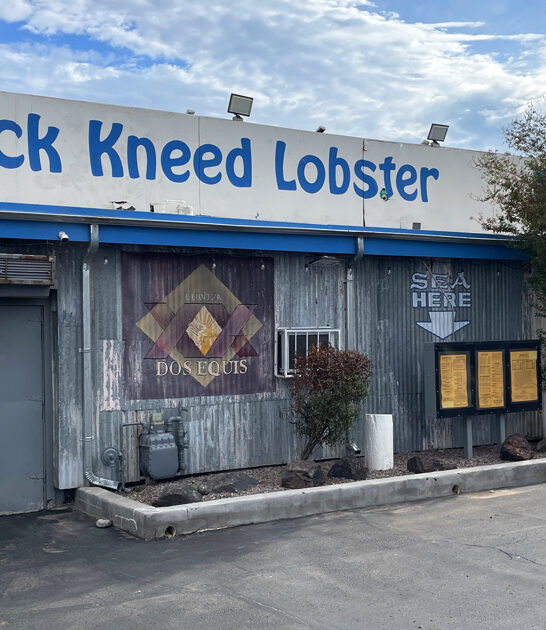 legendary fish tacos arizona ftr