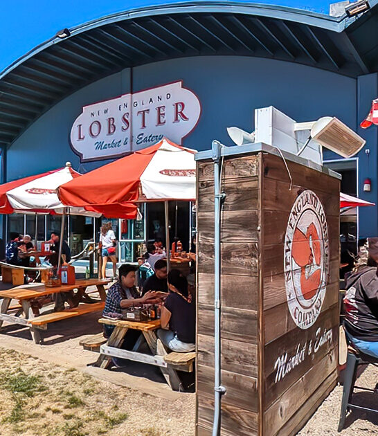 lobsters california restaurant delicious ftr