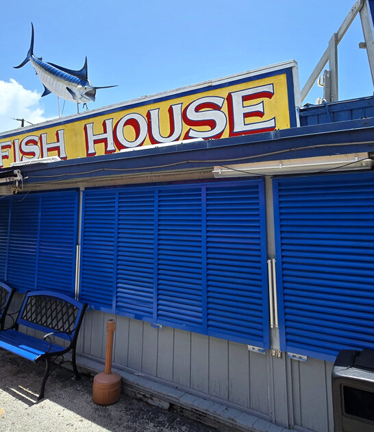 mahi mahi restaurant florida ftr