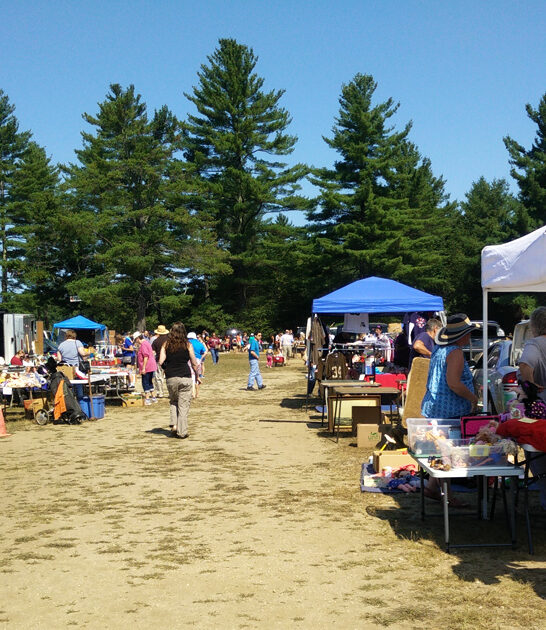 markets new hampshire treasures ftr