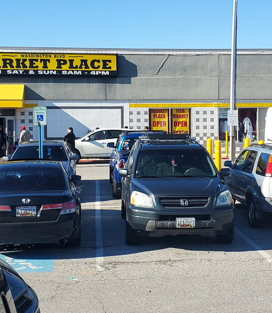 maryland collectibles market shop ftr