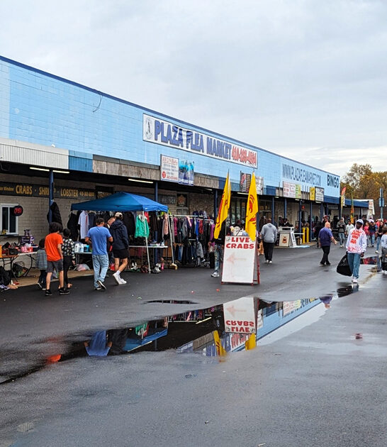 maryland indoor flea wonderland ftr