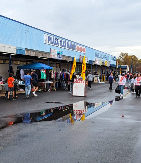 maryland rare treasure bazaar ftr