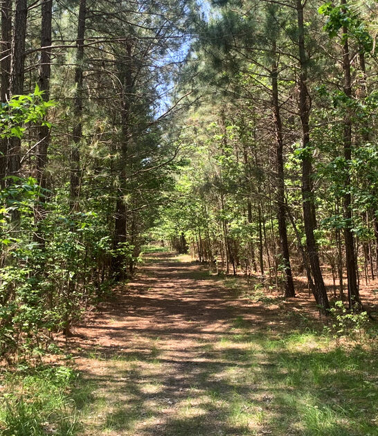 maryland state park picturesque ftr