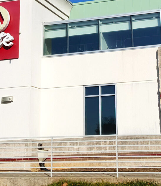 massive consignment north carolina ftr