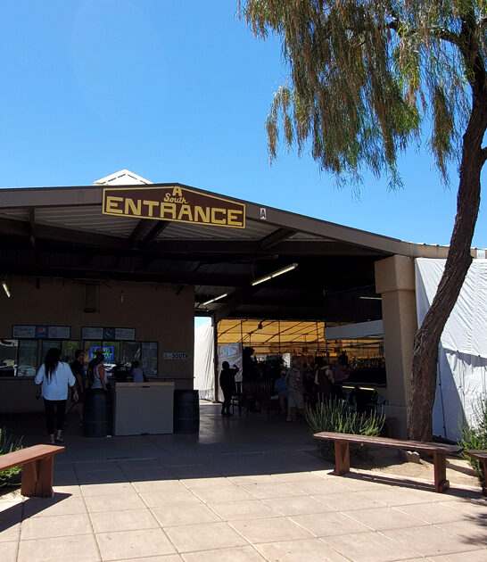 massive flea arizona markets ftr