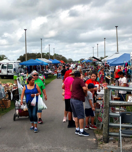 massive florida market bargain ftr