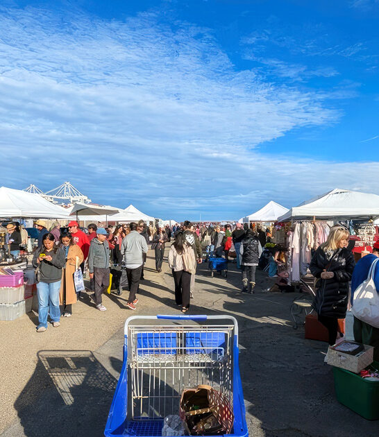 massive market california way ftr