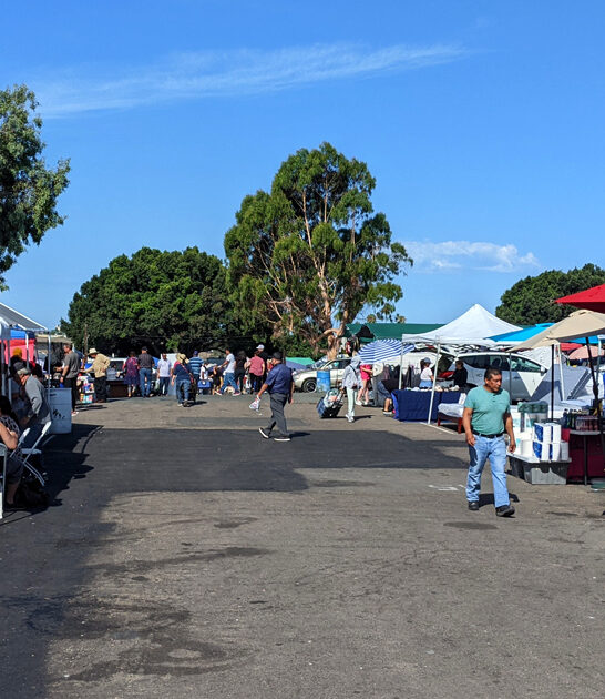 massive market california weekend ftr