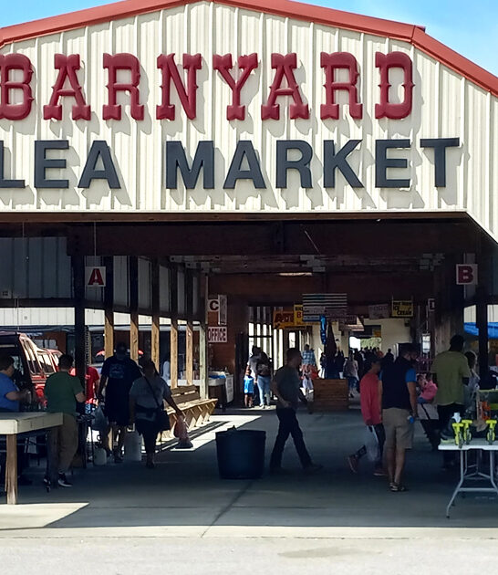 massive market south carolina ftr