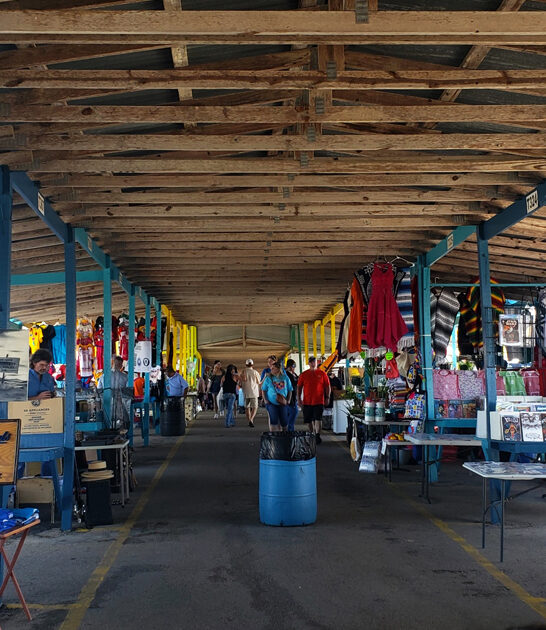 massive market texas treasure ftr