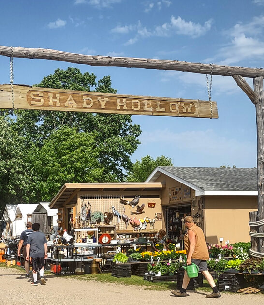 massive swap meet minnesota ftr