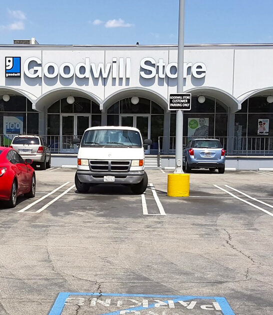 massive thrift california treasures ftr