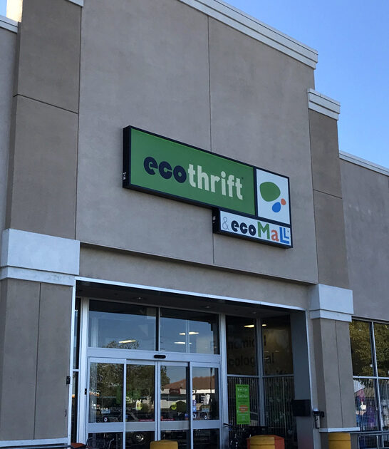 massive treasures stores california ftr
