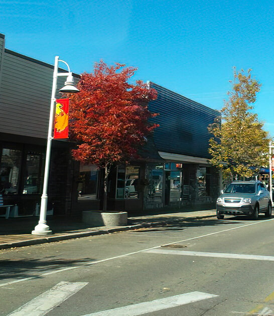 michigan absolutely calm town ftr