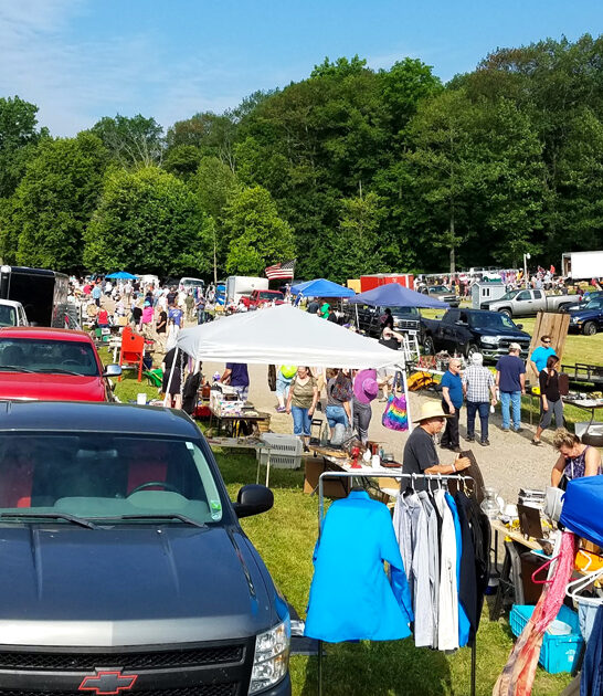 michigan bargain shopping market ftr