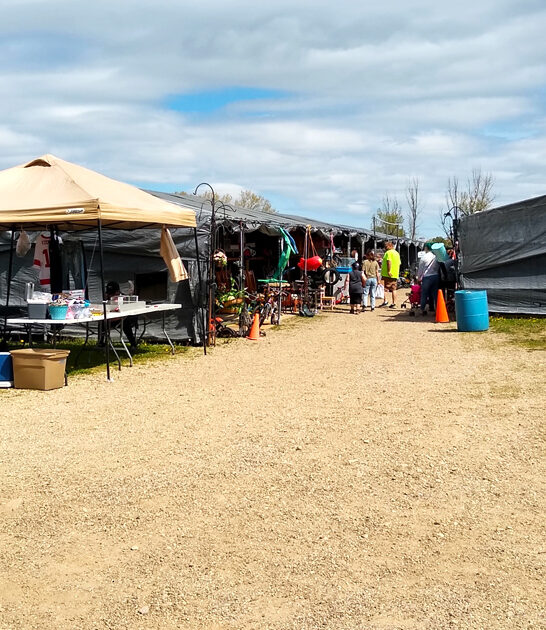 michigan bargains flea market ftr