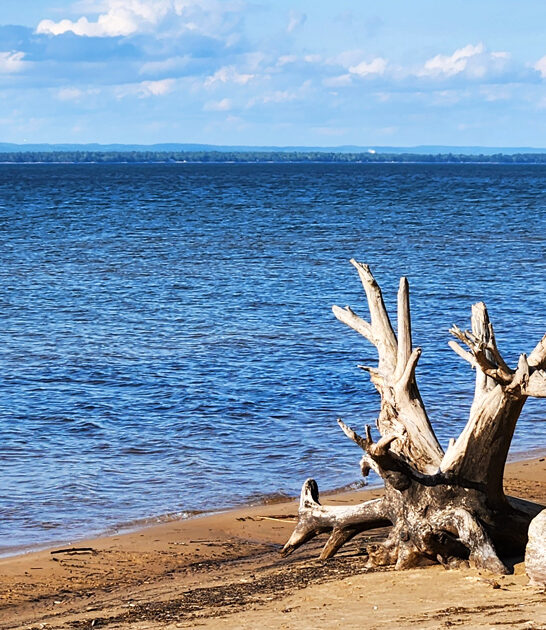 michigan breathtaking lake beach ftr