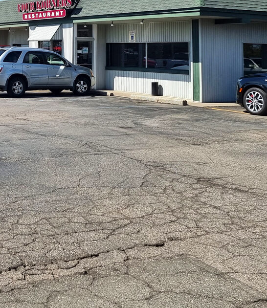 michigan chicken steak restaurant ftr