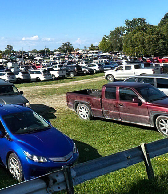 michigan enormous flea market ftr