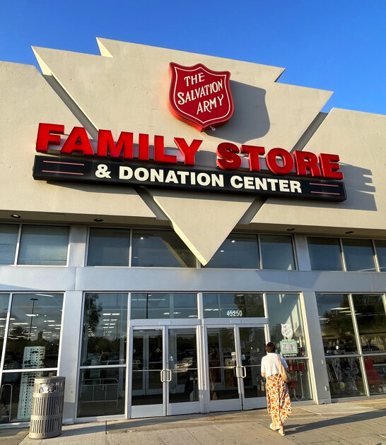 michigan enormous thrift bargains ftr