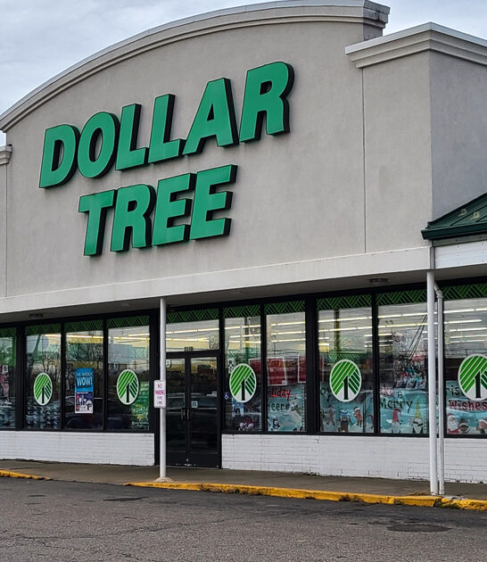 michigan general store bargains ftr