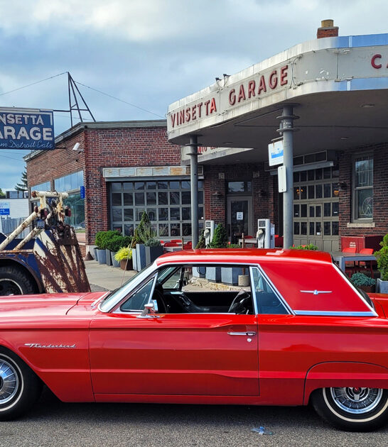 michigan mouth watering fries ftr