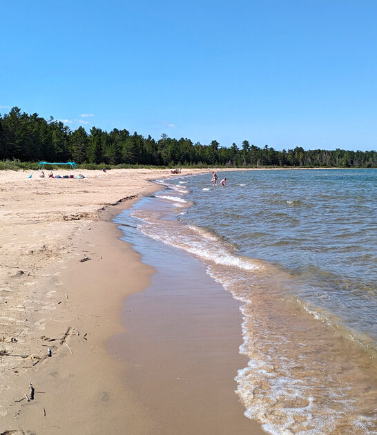michigan picturesque state park ftr