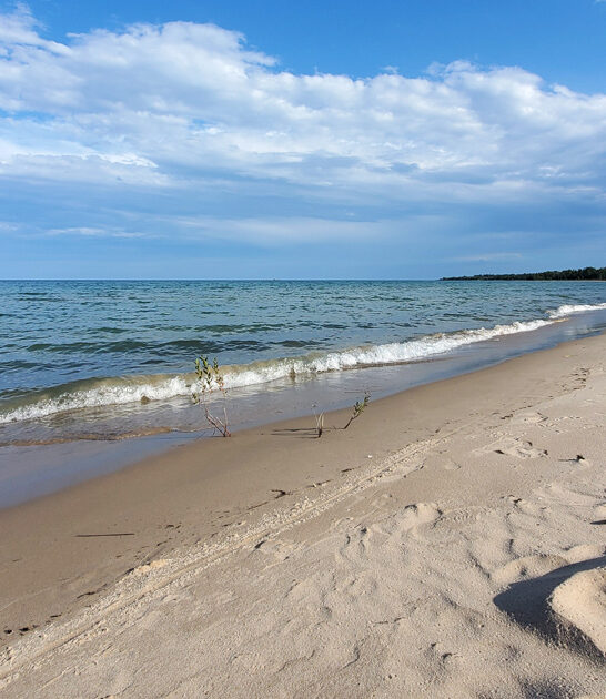 michigan scenic state park ftr