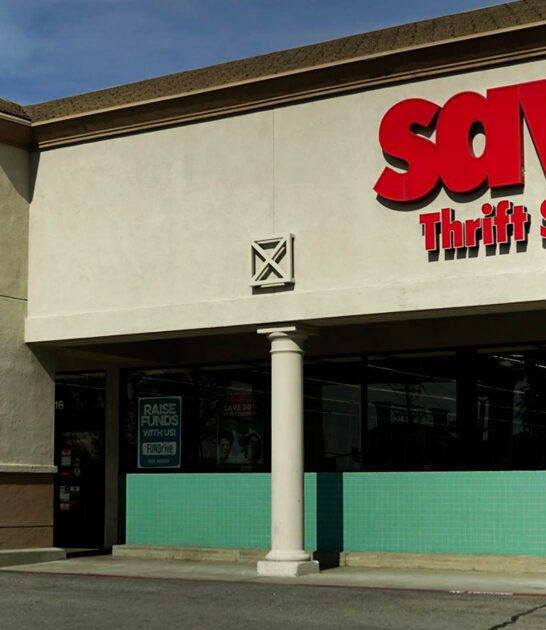 minnesota thrift stores gigantic ftr