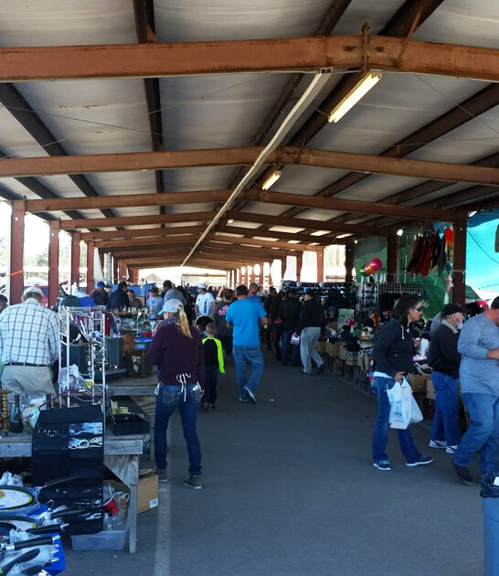 mississippi swap meet bargains ftr