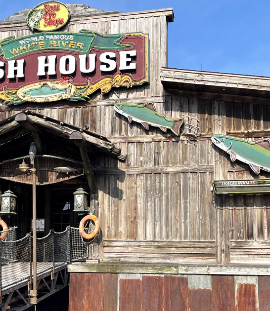 missouri fish chips tasty ftr