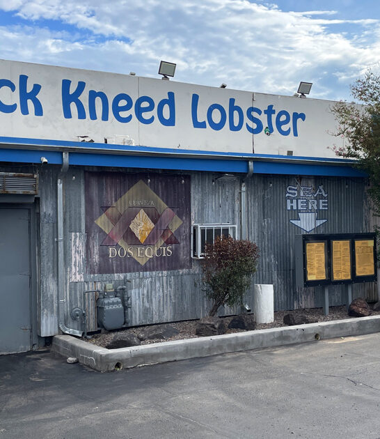 mouthwatering seafood restaurant arizona ftr