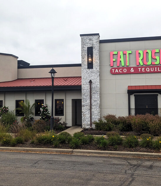 nachos restaurant drive illinois ftr