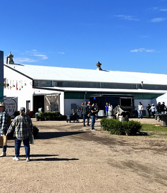 nebraska enormous swap meet ftr