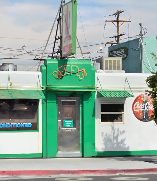 nevada best french fries ftr