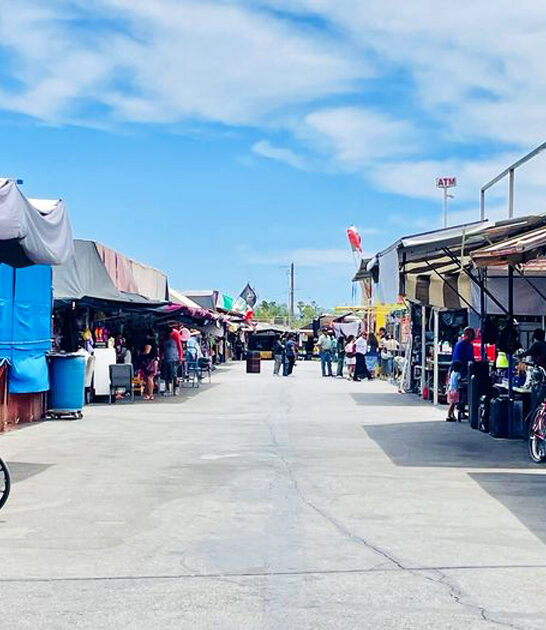 nevada massive swap meet ftr