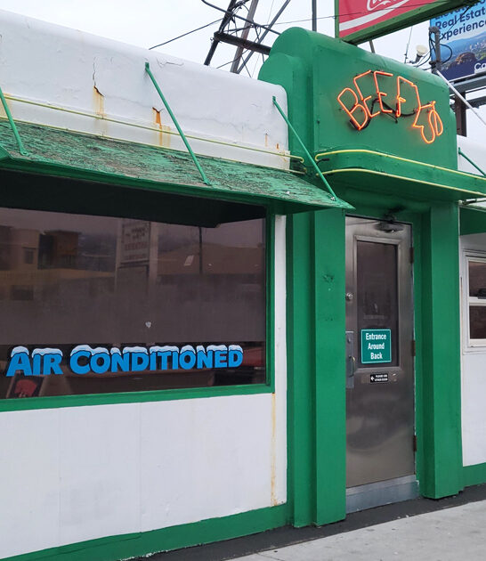 nevada mouthwatering french fries ftr