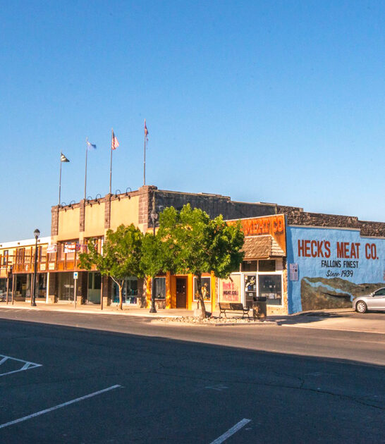 nevada save big healthcare ftr