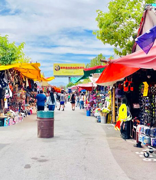 nevada swap meet bargains ftr