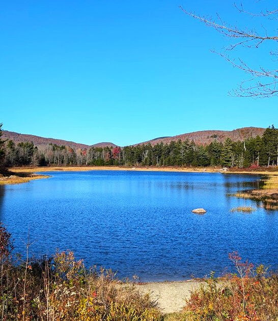 new hampshire picturesque park ftr