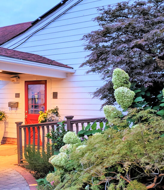 new jersey ny steak ftr