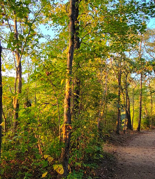 new jersey picturesque park ftr