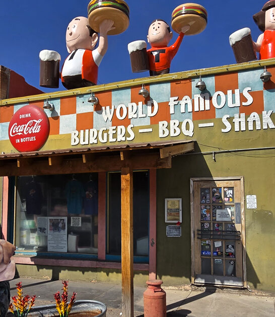 new mexico french fries ftr