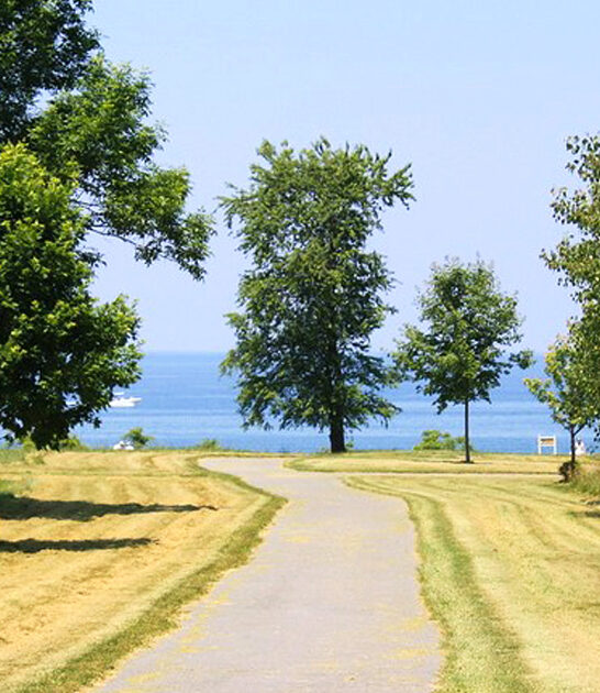 new york hidden park ftr