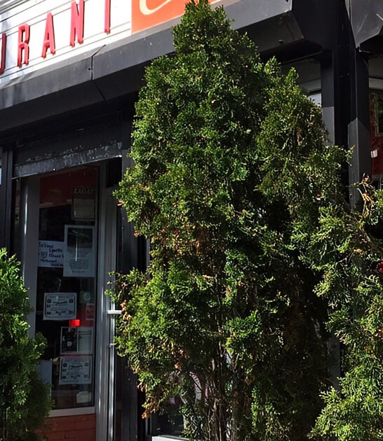 new york incredible breakfast ftr