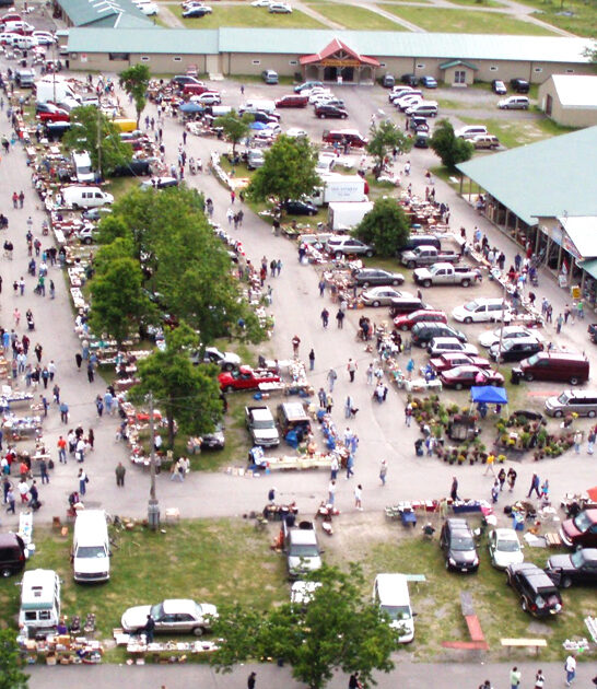 new york massive bargains ftr