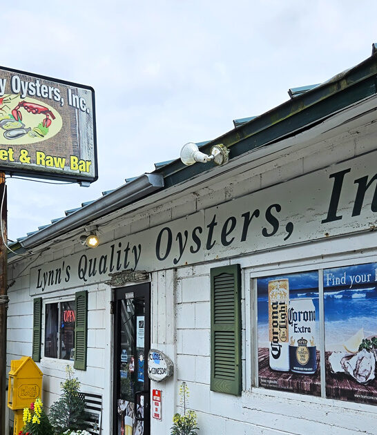 no fuss florida pies ftr