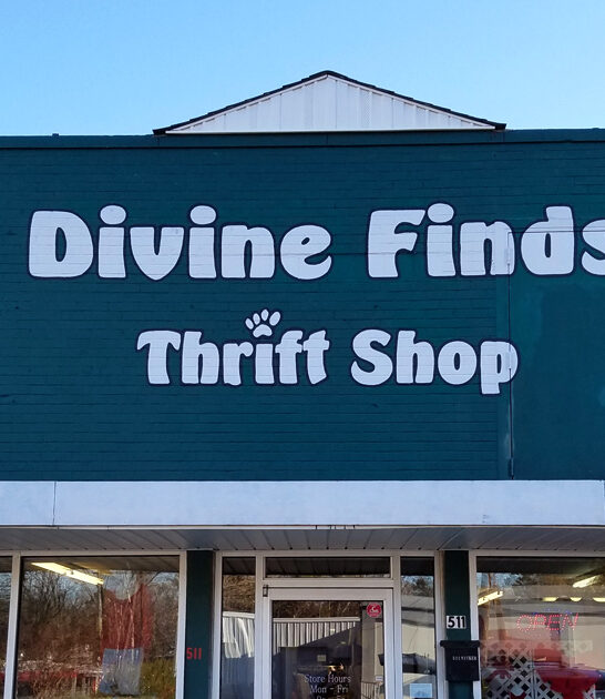 north carolina bargains shops ftr