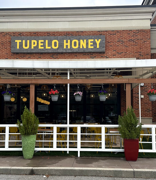 north carolina chicken picks ftr